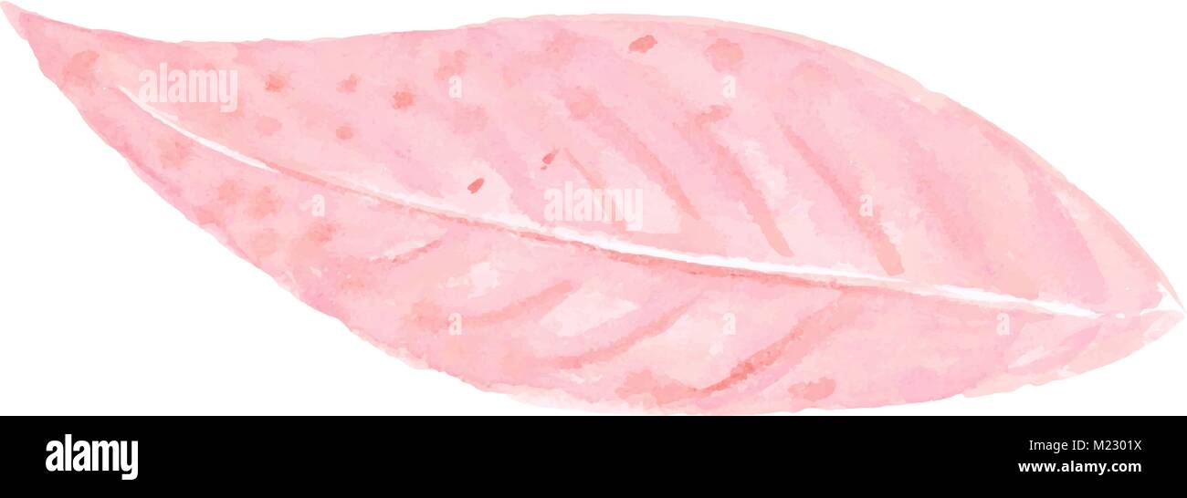 Rosas color pastel Stock-Vektorgrafiken kaufen - Alamy