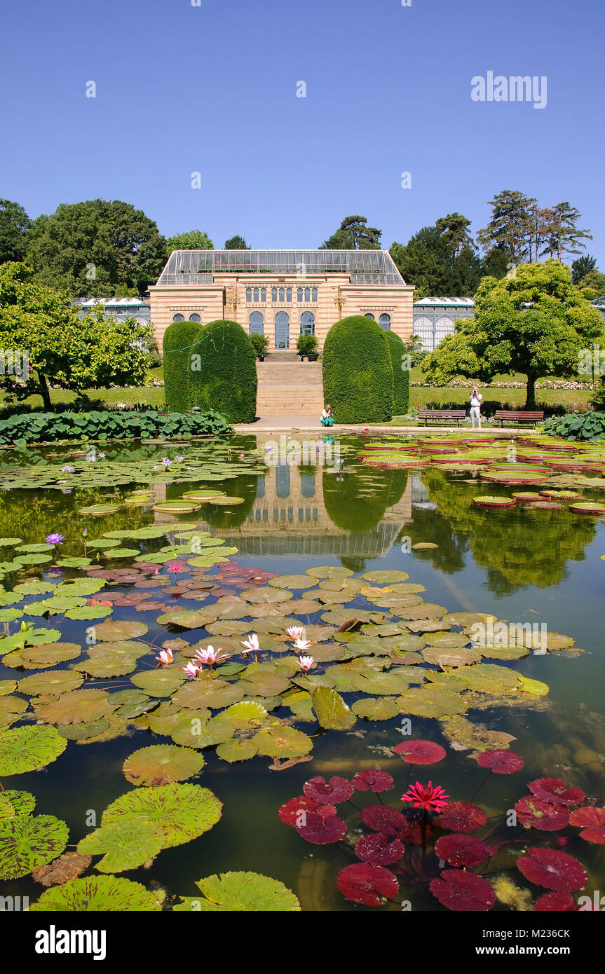 Wilhelma stuttgart -Fotos und -Bildmaterial in hoher Auflösung – Alamy