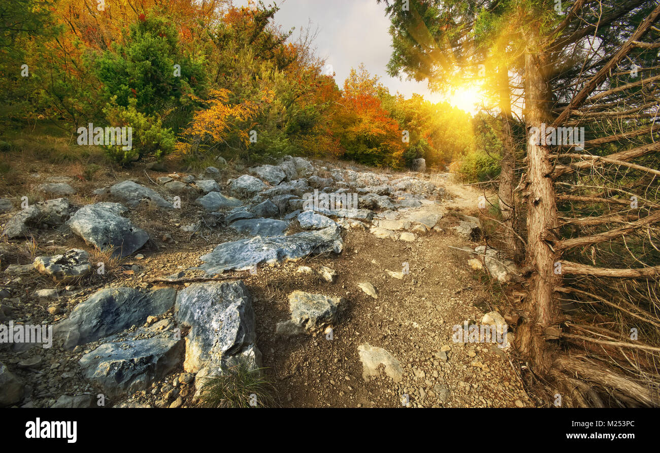 Path mountain -Fotos und -Bildmaterial in hoher Auflösung – Alamy