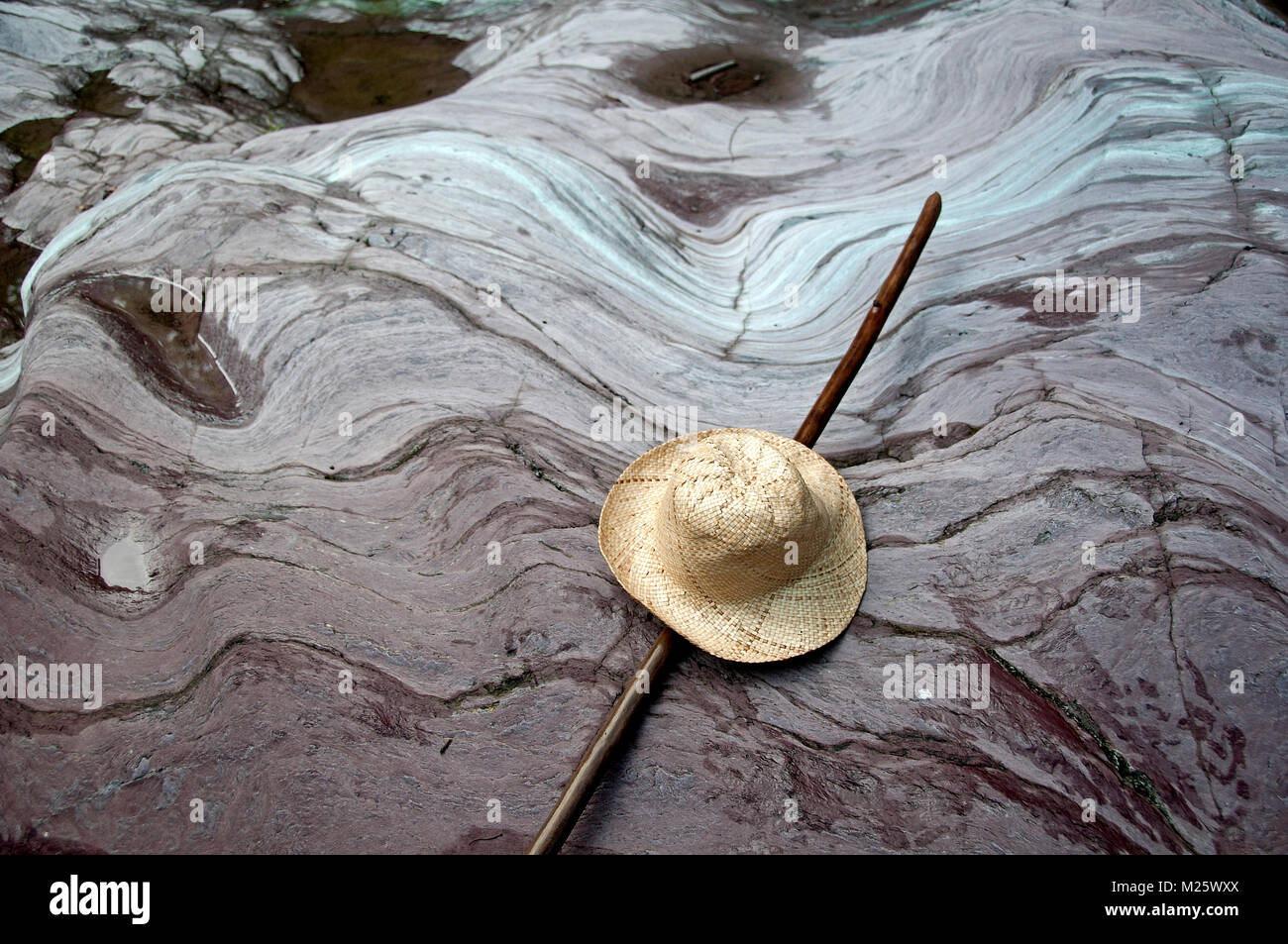 Forrest strand -Fotos und -Bildmaterial in hoher Auflösung – Alamy
