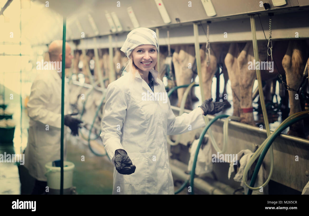 Melkerin im kuhstall -Fotos und -Bildmaterial in hoher Auflösung – Alamy