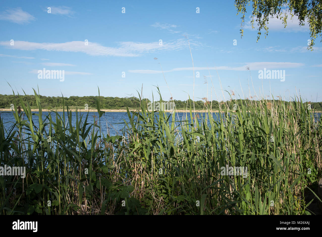 Fluss havel -Fotos und -Bildmaterial in hoher Auflösung – Alamy