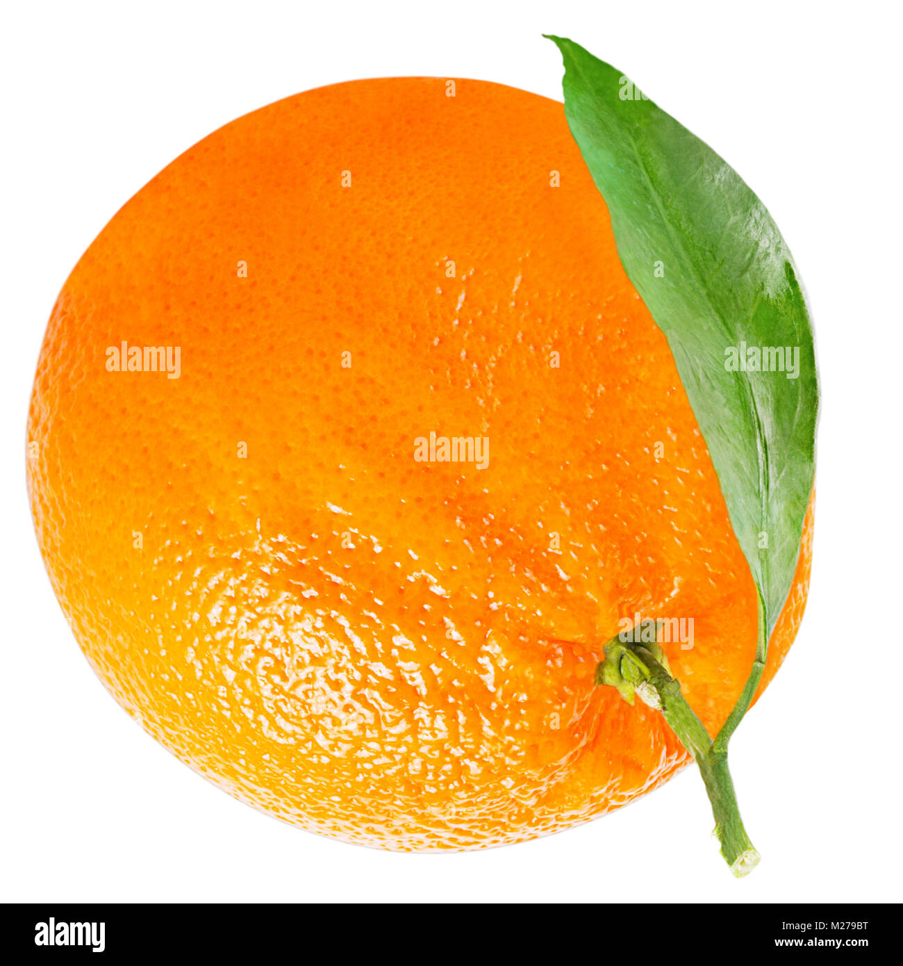 Isolierte Orangen. Eine orange mit Blatt auf weißem Hintergrund mit ...