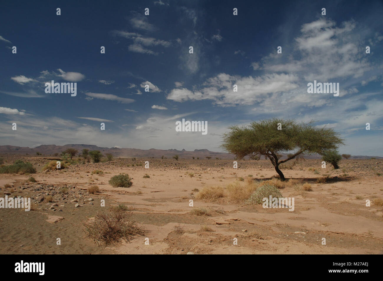 Marocco atlas mountains -Fotos und -Bildmaterial in hoher Auflösung – Alamy