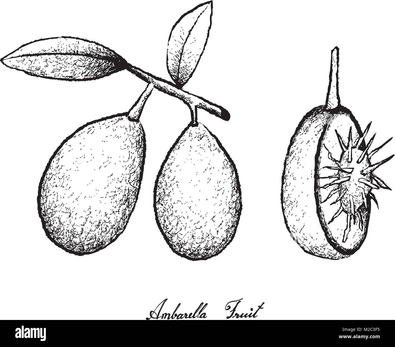 Caja hintergrund Stock-Vektorgrafiken kaufen - Alamy