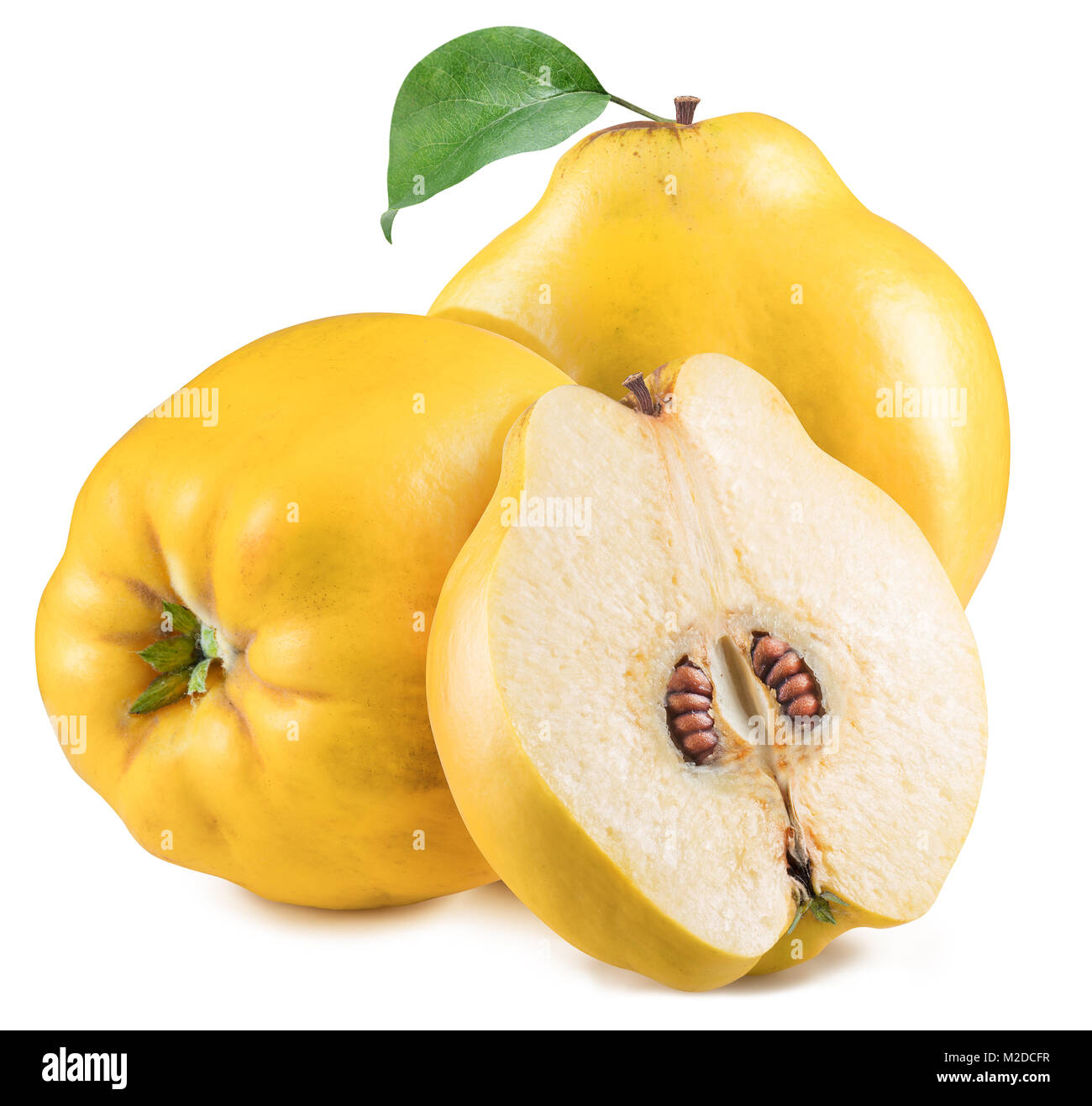 Apfel quitten -Fotos und -Bildmaterial in hoher Auflösung – Alamy