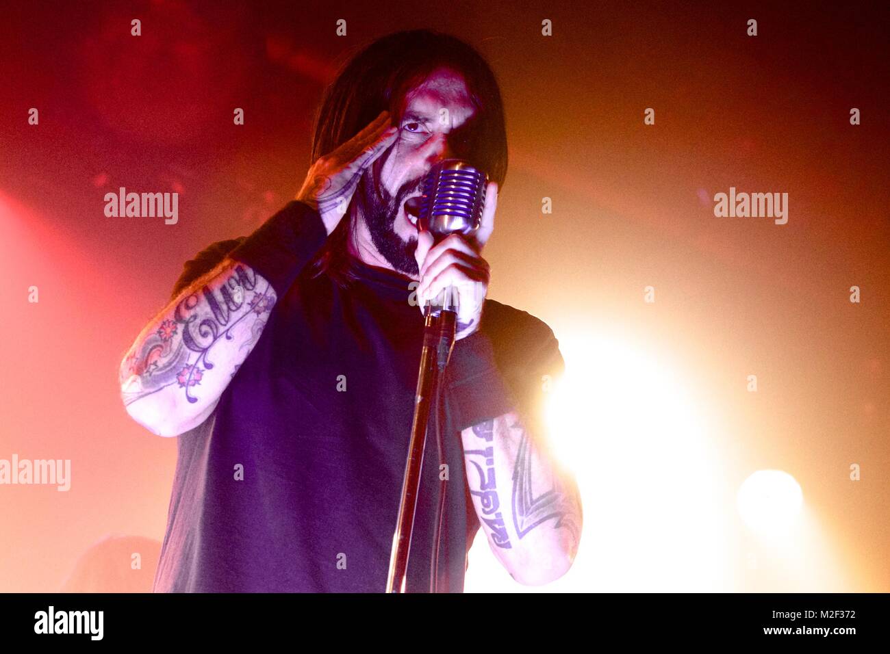 Stephan weidner -Fotos und -Bildmaterial in hoher Auflösung – Alamy