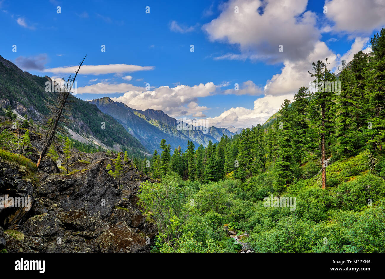 Kontinentales klima -Fotos und -Bildmaterial in hoher Auflösung – Alamy