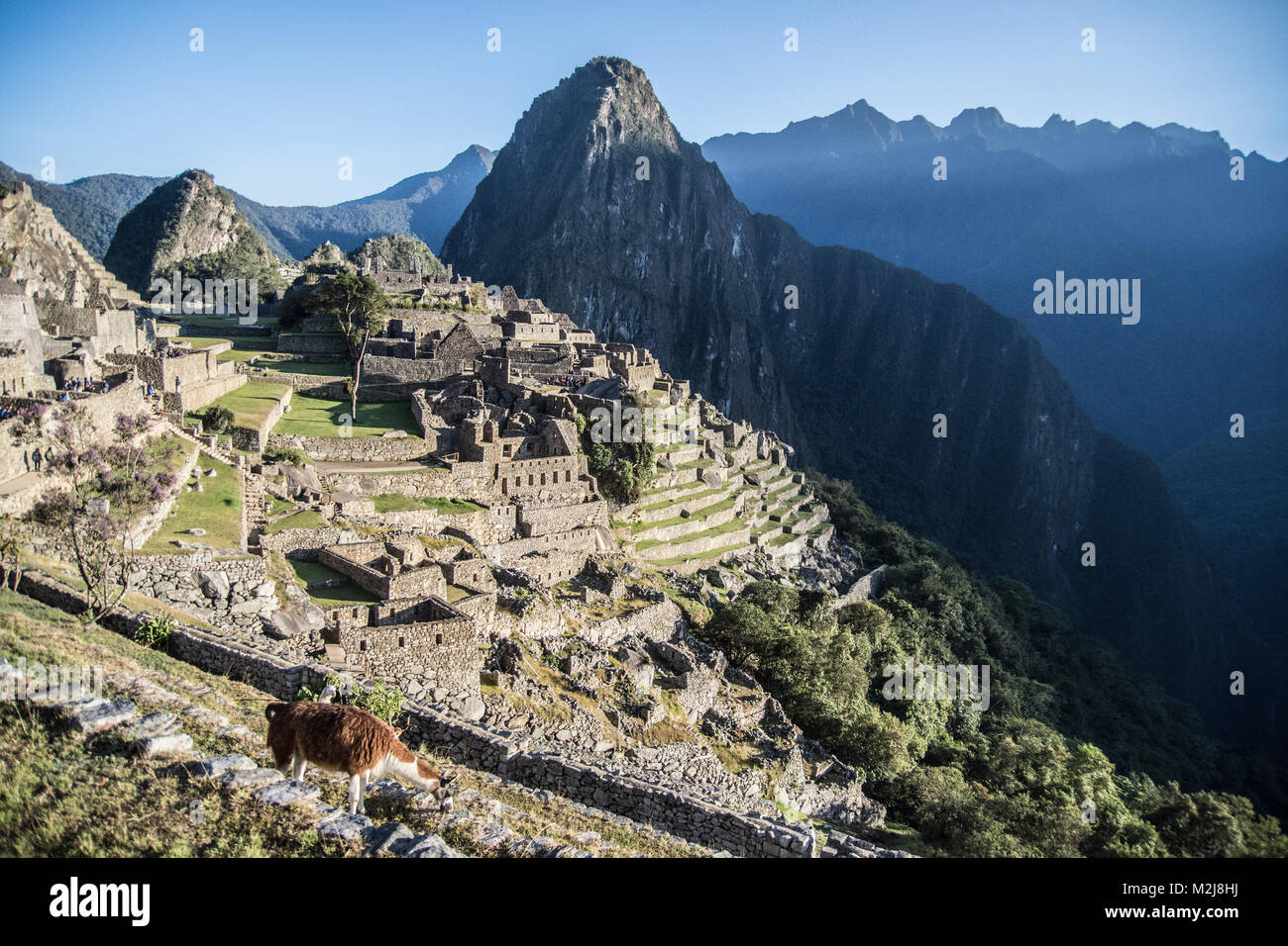 Inka Machu Picchu Geschichte Stockfotos und -bilder Kaufen - Alamy