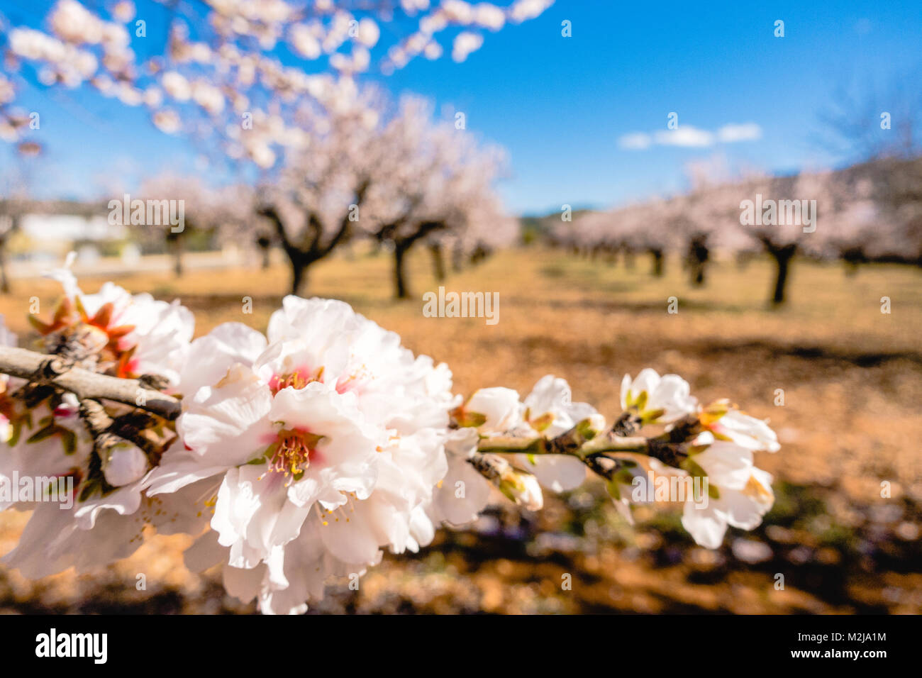 Xalo jalon -Fotos und -Bildmaterial in hoher Auflösung – Alamy