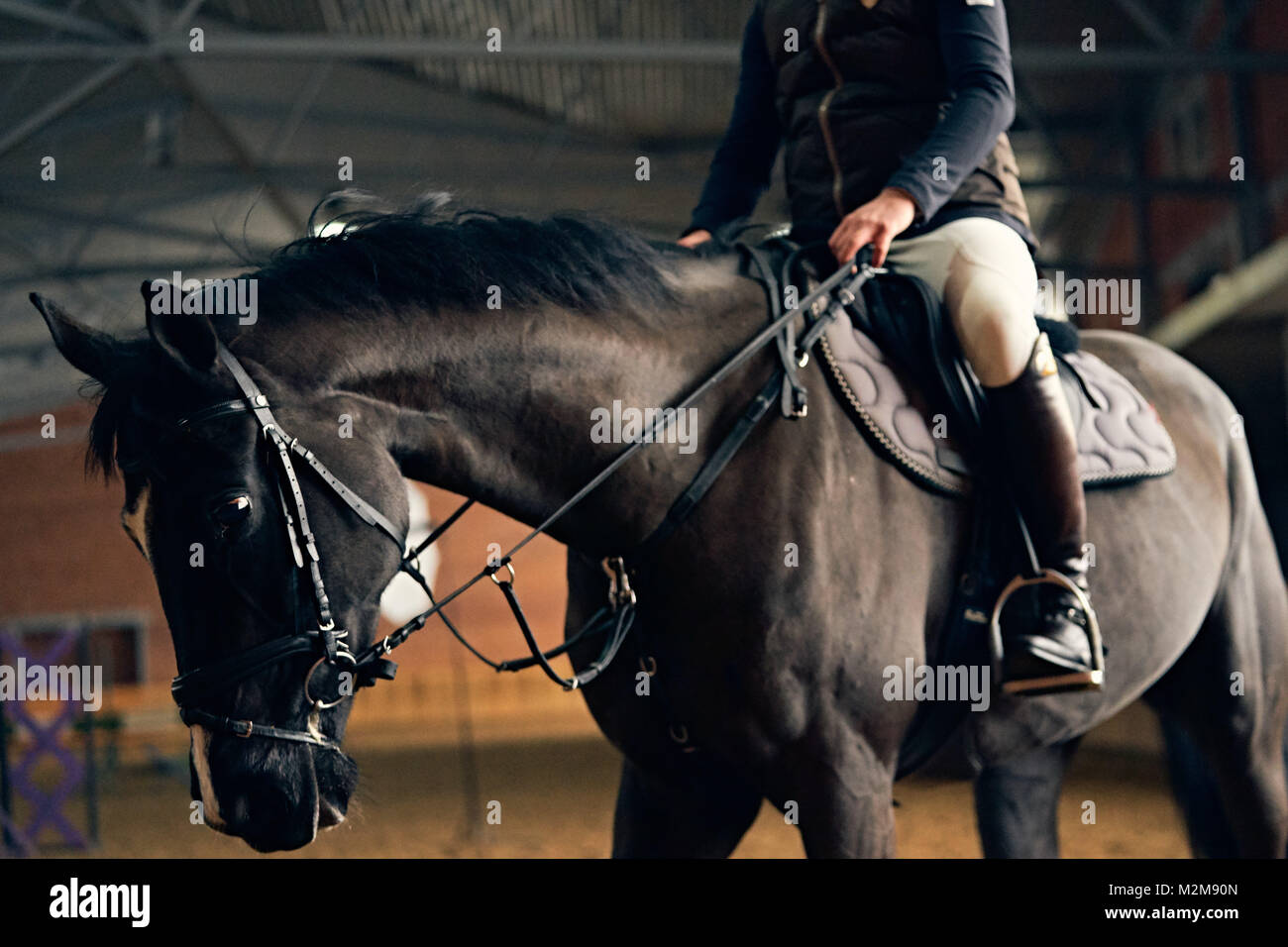 Die reitbahn -Fotos und -Bildmaterial in hoher Auflösung – Alamy