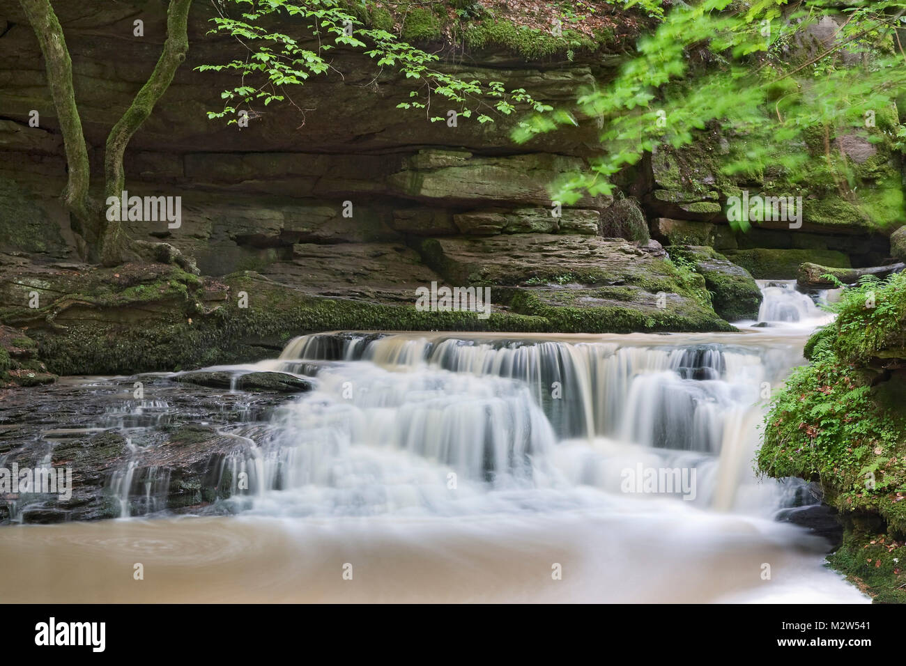 Wasserfall im monbachtal -Fotos und -Bildmaterial in hoher Auflösung ...