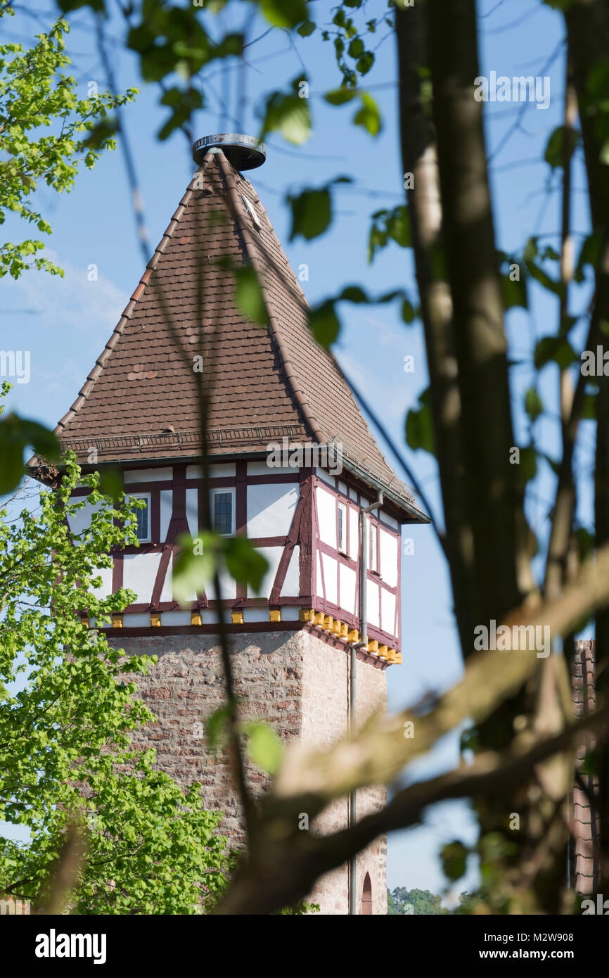 Deutschland, Baden-Württemberg, Gernsbach im Schwarzwald, der ...