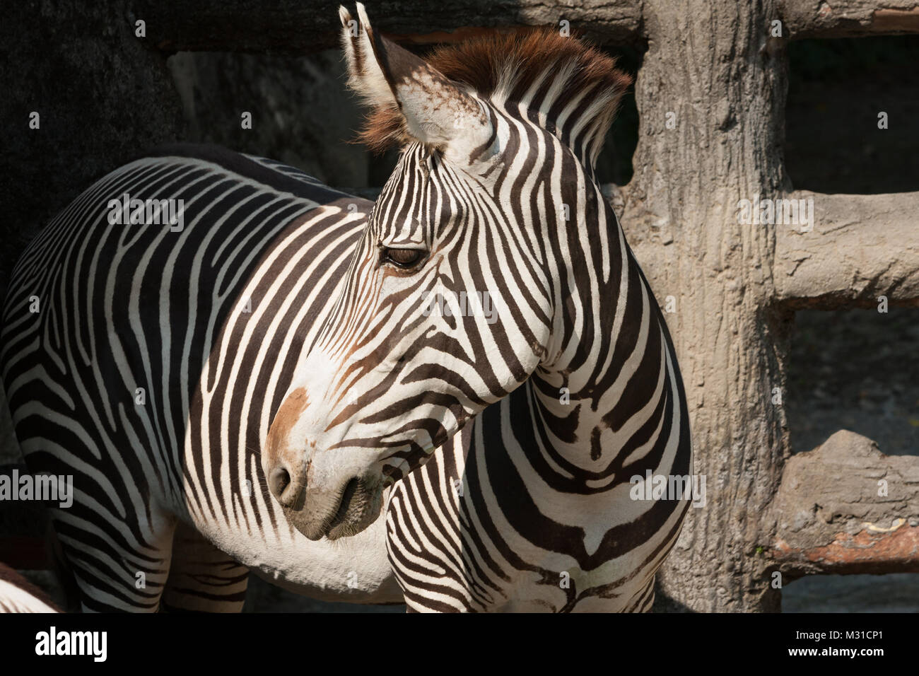 Taiwan kenia -Fotos und -Bildmaterial in hoher Auflösung – Alamy