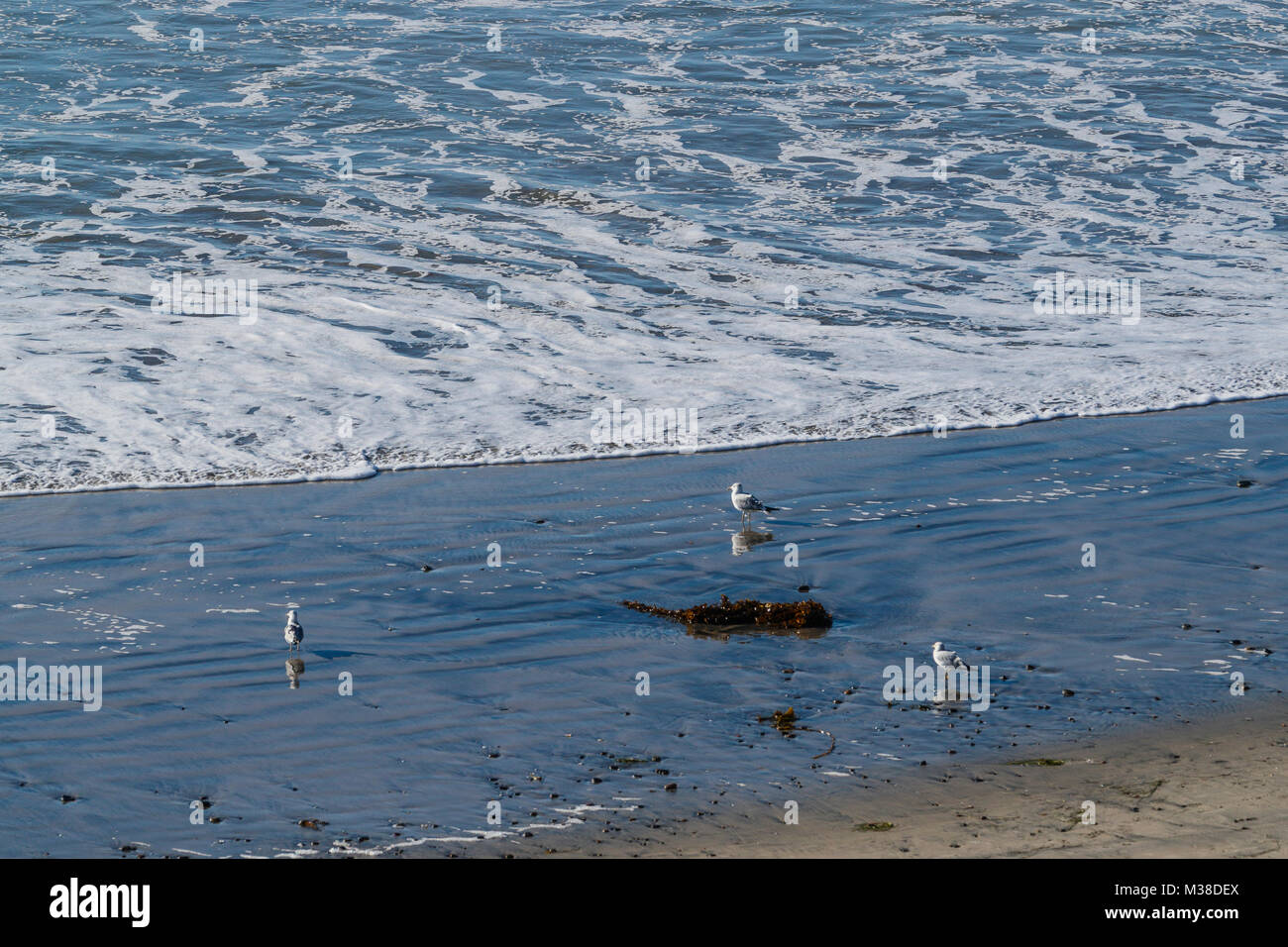 Roter punktstrand -Fotos und -Bildmaterial in hoher Auflösung – Alamy
