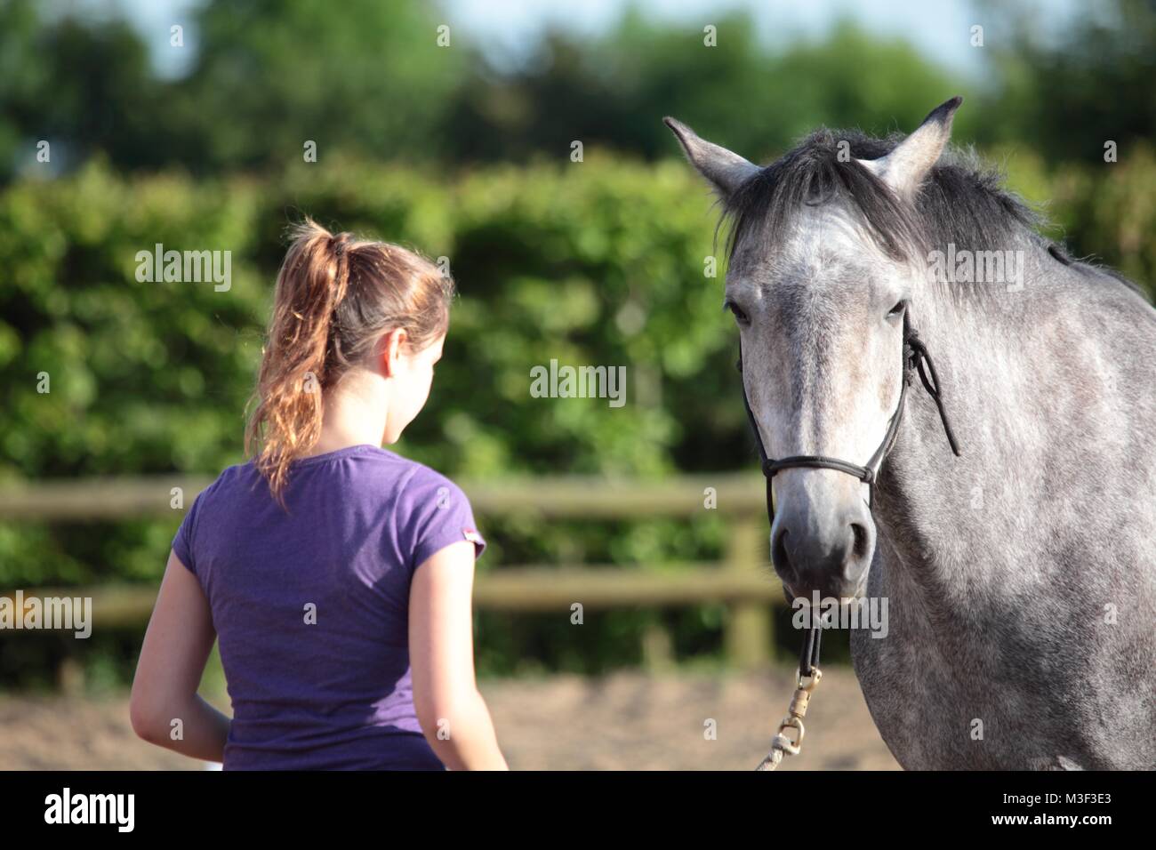 Natürliche reitkunst -Fotos und -Bildmaterial in hoher Auflösung – Alamy