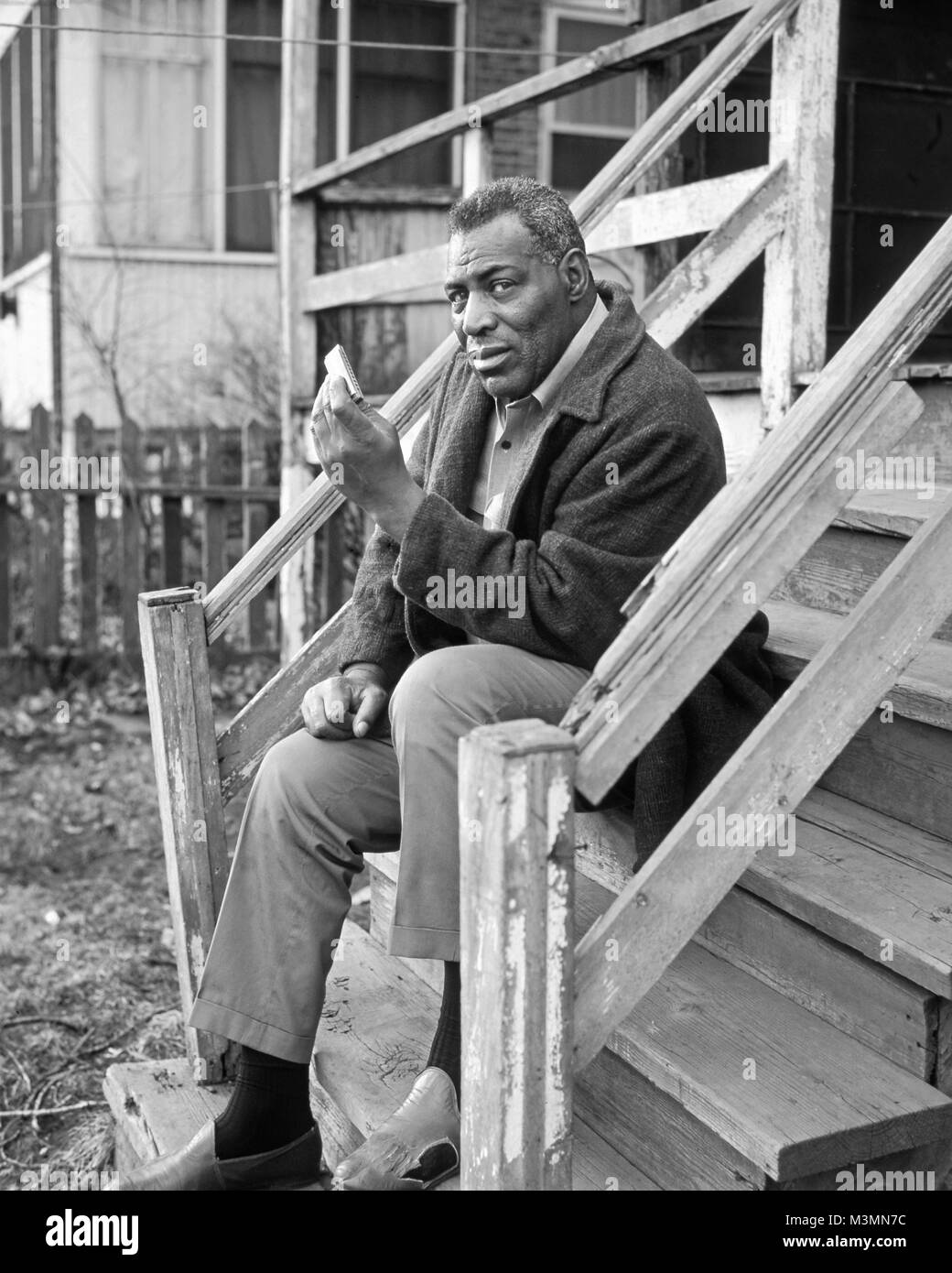 Howlin wolf -Fotos und -Bildmaterial in hoher Auflösung – Alamy
