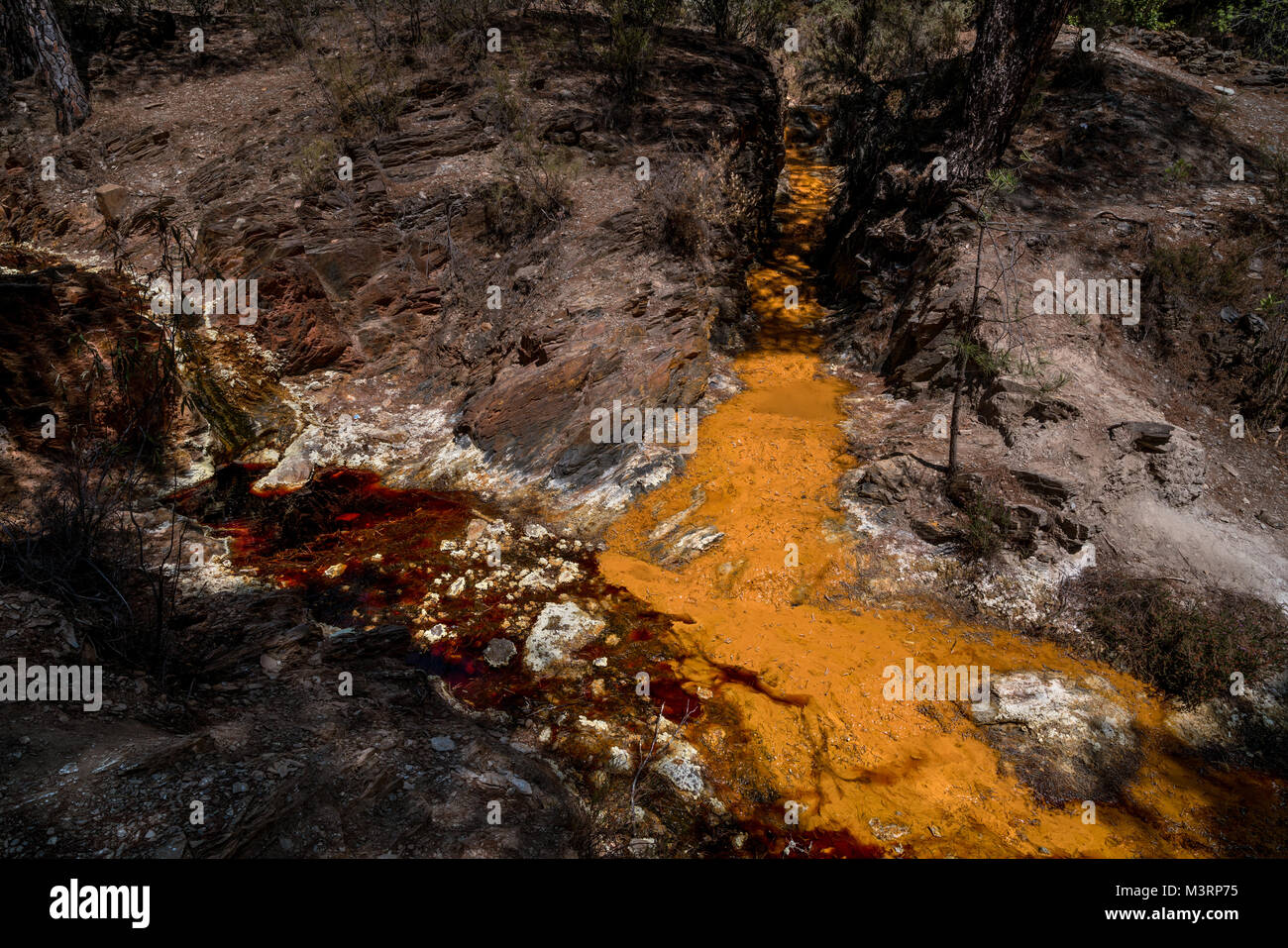 Nacimiento rio tinto -Fotos und -Bildmaterial in hoher Auflösung – Alamy