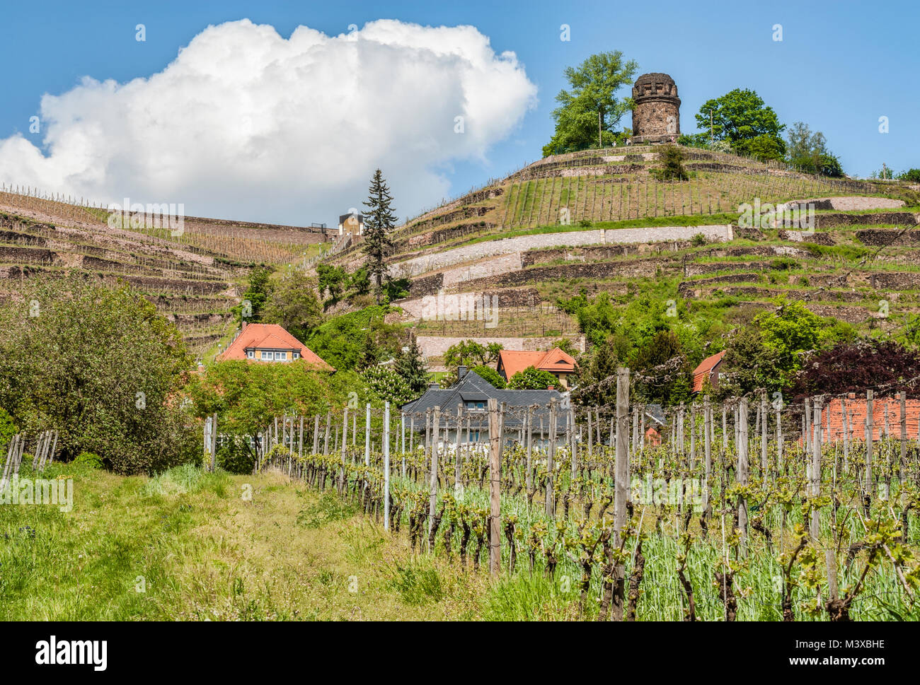 Wahrzeichen der traditionellen weinberge -Fotos und -Bildmaterial in ...