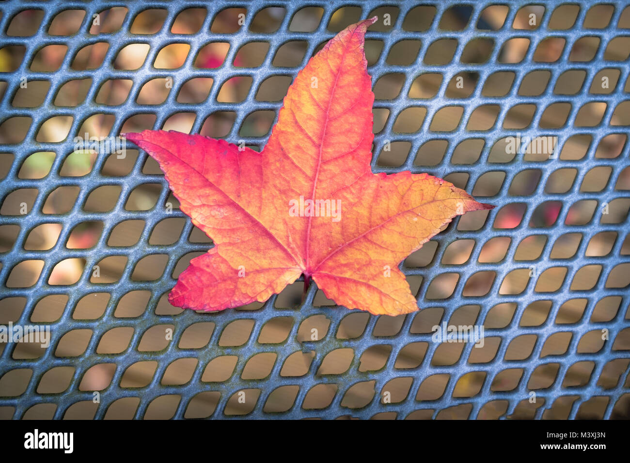 Metallgitter tisch -Fotos und -Bildmaterial in hoher Auflösung – Alamy