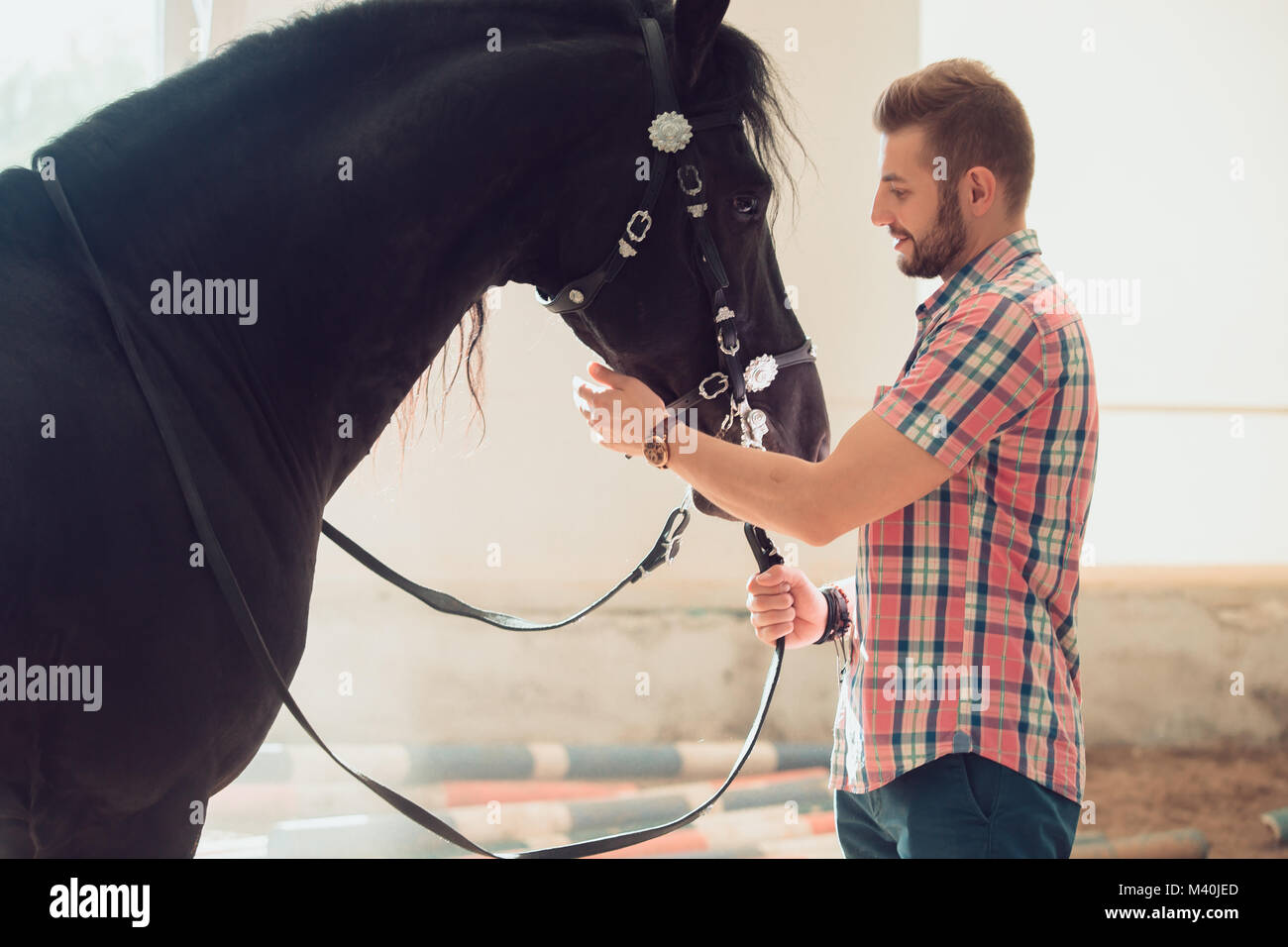 Schöner mann pferd reiten -Fotos und -Bildmaterial in hoher Auflösung ...