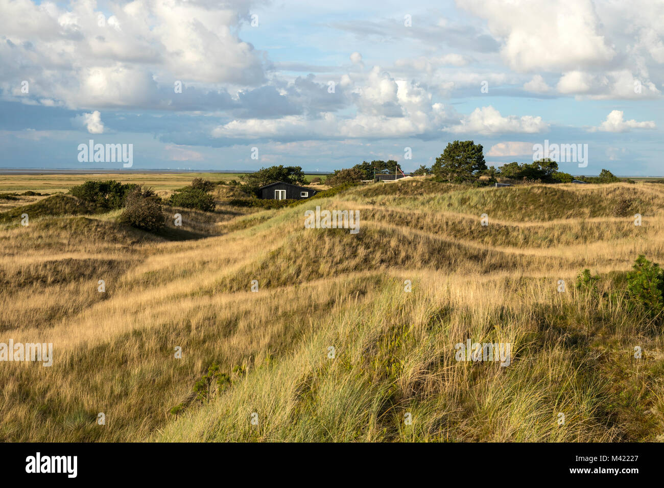 Insel mando -Fotos und -Bildmaterial in hoher Auflösung – Alamy