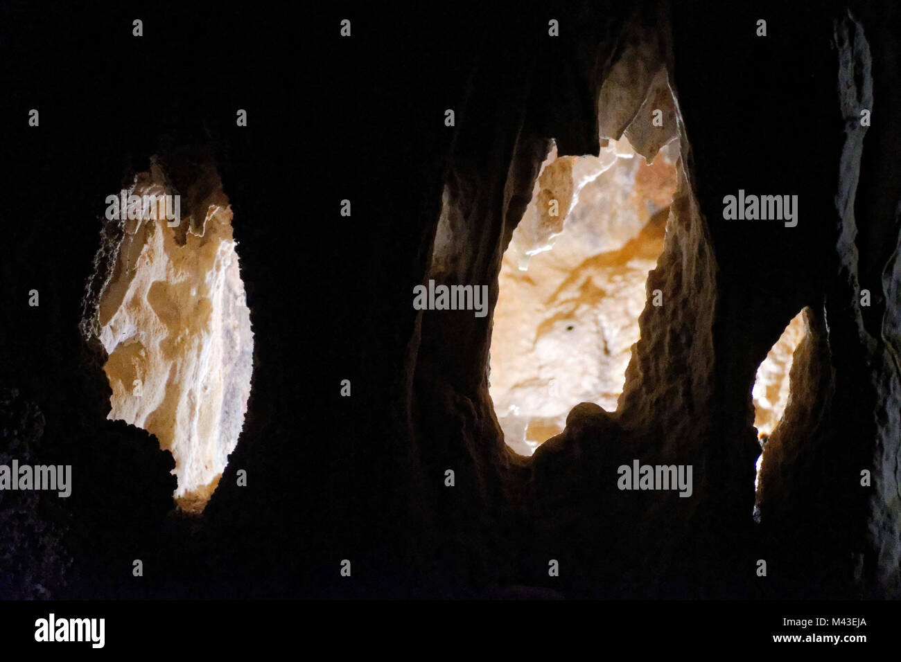 Stock Foto - Fig Tree Cave, Wombeyan Caves, wombeyan Karst Conservation ...