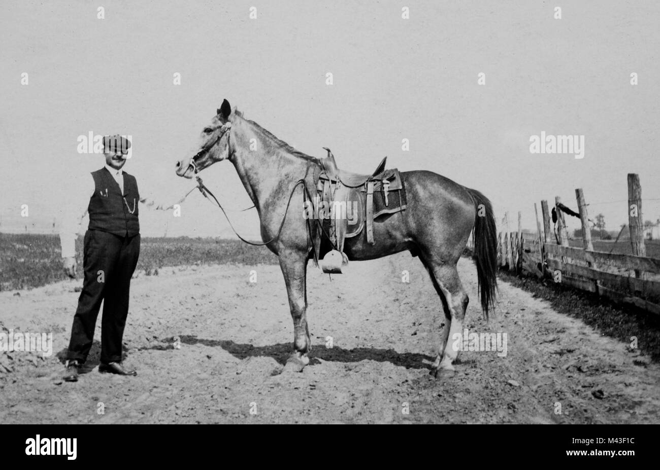 Mann mit seinem pferd -Fotos und -Bildmaterial in hoher Auflösung – Alamy