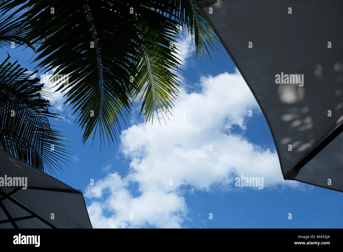 Wolken tropen -Fotos und -Bildmaterial in hoher Auflösung – Alamy