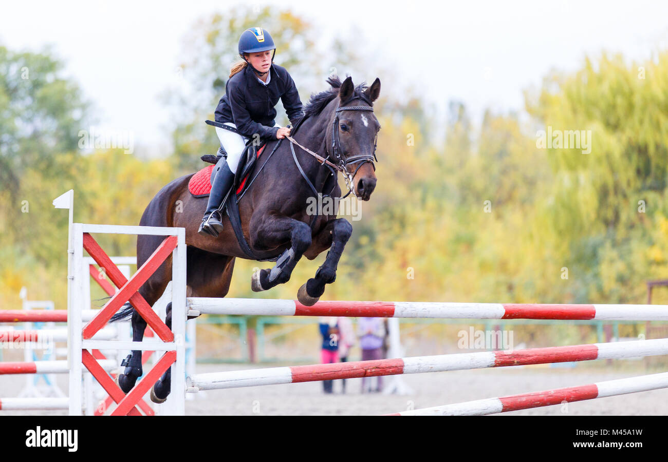 Junge Reiter Mädchen auf Bay Horse über Barriere auf Pferdesport ...