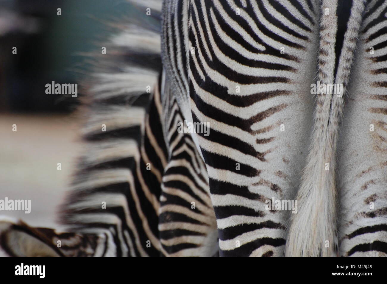 Unten bum bums -Fotos und -Bildmaterial in hoher Auflösung – Alamy