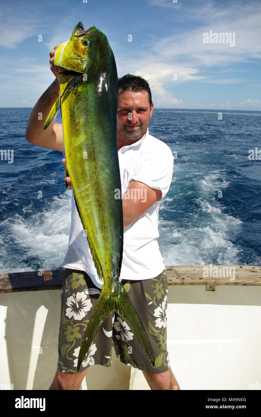 Mahi mahi fisch -Fotos und -Bildmaterial in hoher Auflösung – Alamy