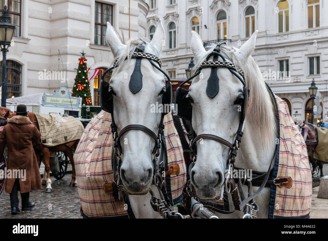 Fiaker pferdewagen -Fotos und -Bildmaterial in hoher Auflösung – Alamy
