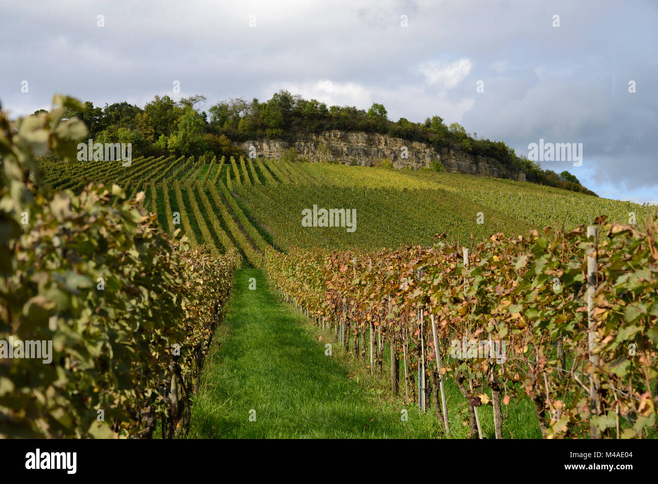 Besigheim deutschland -Fotos und -Bildmaterial in hoher Auflösung – Alamy