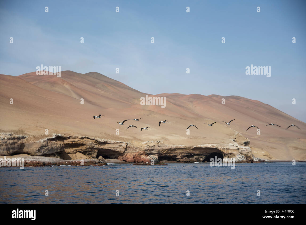 Naturschutzgebiet paracas -Fotos und -Bildmaterial in hoher Auflösung ...