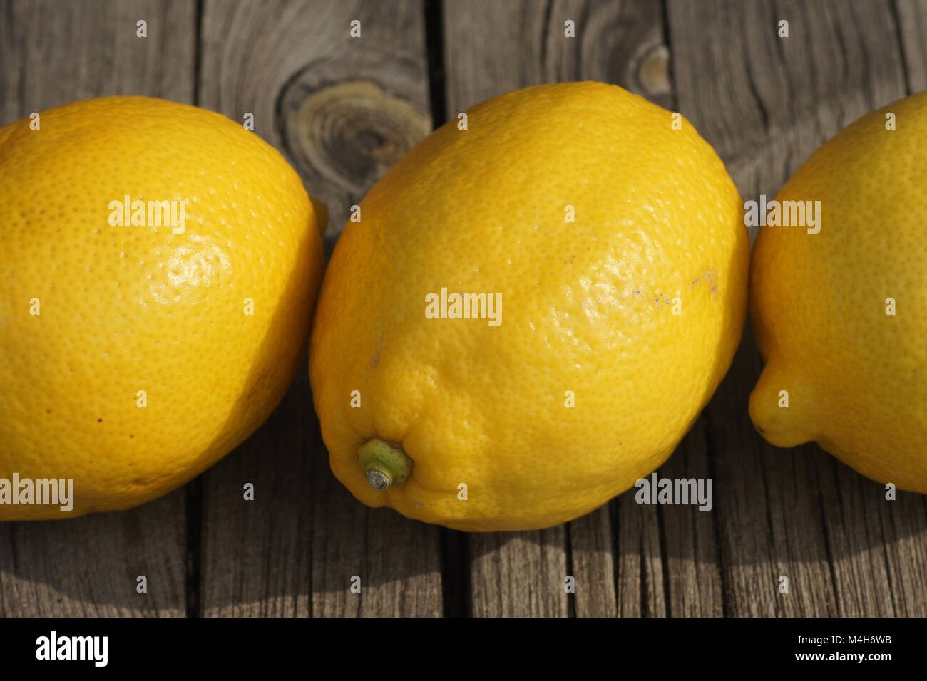 Zitrus limon eureka -Fotos und -Bildmaterial in hoher Auflösung – Alamy