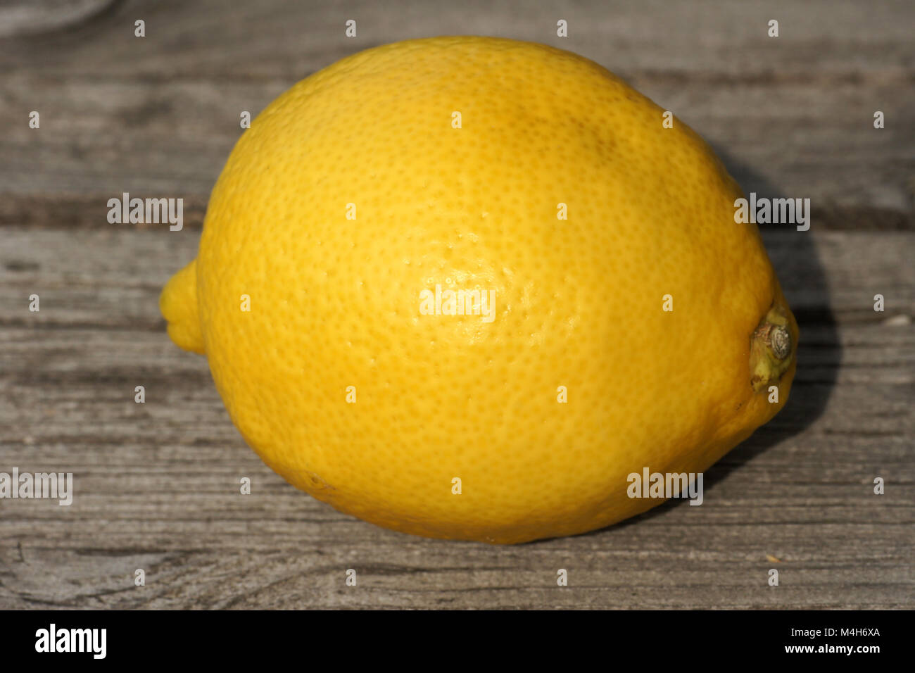 Zitrus Limon Eureka Stockfotos und -bilder Kaufen - Alamy