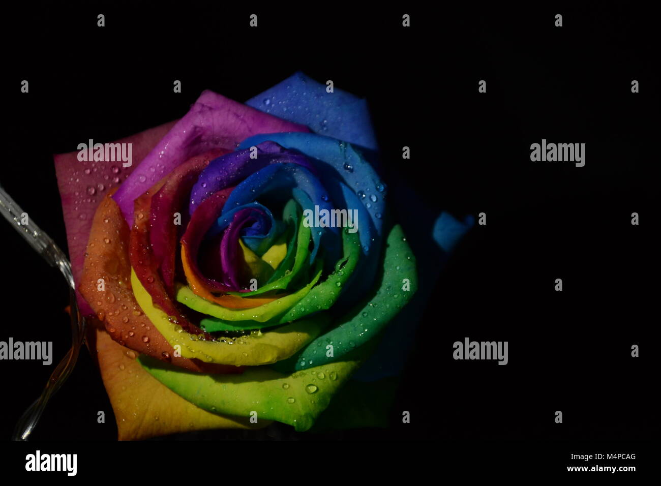 Hohe verschlusszeit -Fotos und -Bildmaterial in hoher Auflösung – Alamy