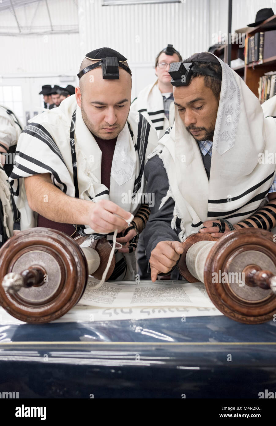 Orthodox jewish man reading torah -Fotos und -Bildmaterial in hoher ...