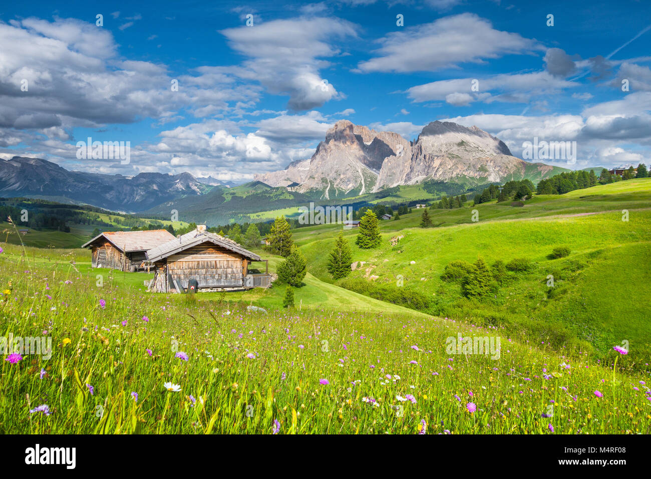 Seiser alm sommer -Fotos und -Bildmaterial in hoher Auflösung – Alamy