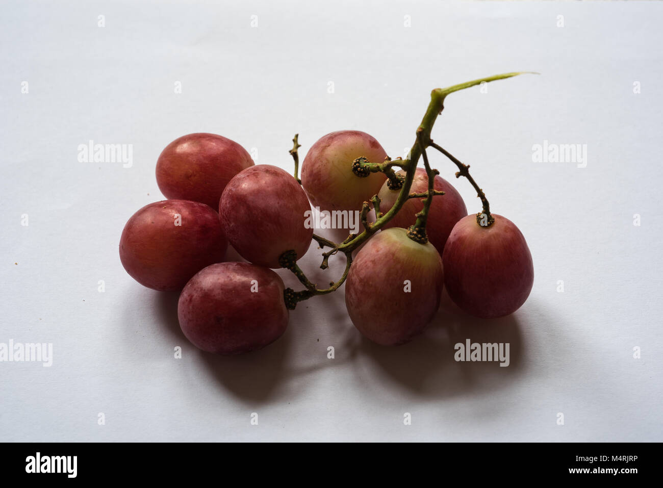 Grape stalks -Fotos und -Bildmaterial in hoher Auflösung – Alamy