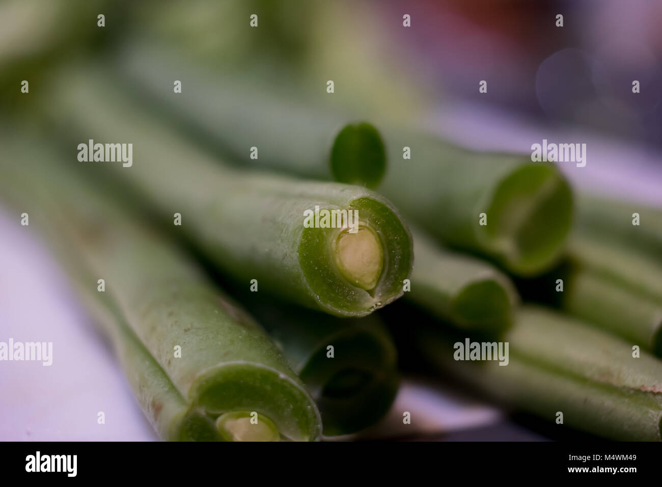 Bohne gut -Fotos und -Bildmaterial in hoher Auflösung – Alamy