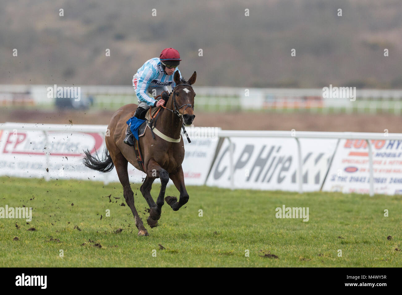Gavin sheehan jockey -Fotos und -Bildmaterial in hoher Auflösung – Alamy