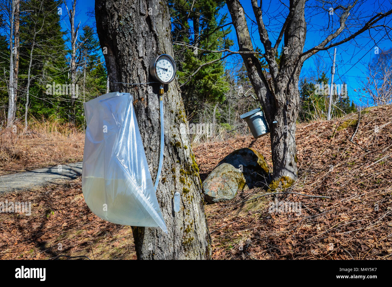 Moderne saftsammlung -Fotos und -Bildmaterial in hoher Auflösung – Alamy