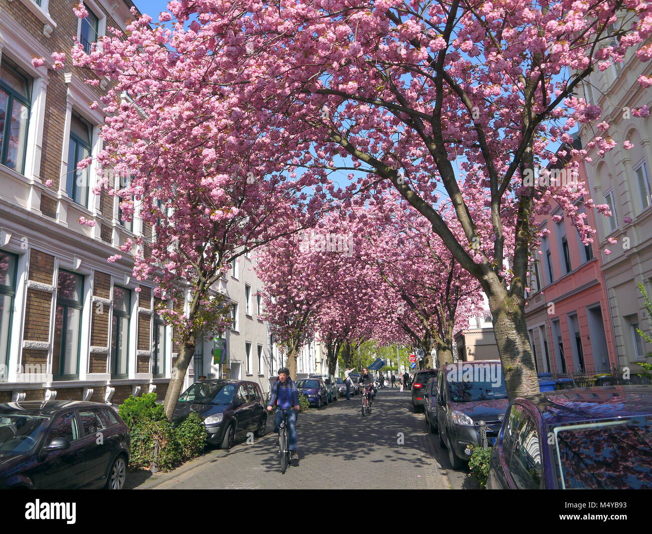 BONN, Deutschland - 18 April 2016: Fahrrad fahren unter Reihen von ...