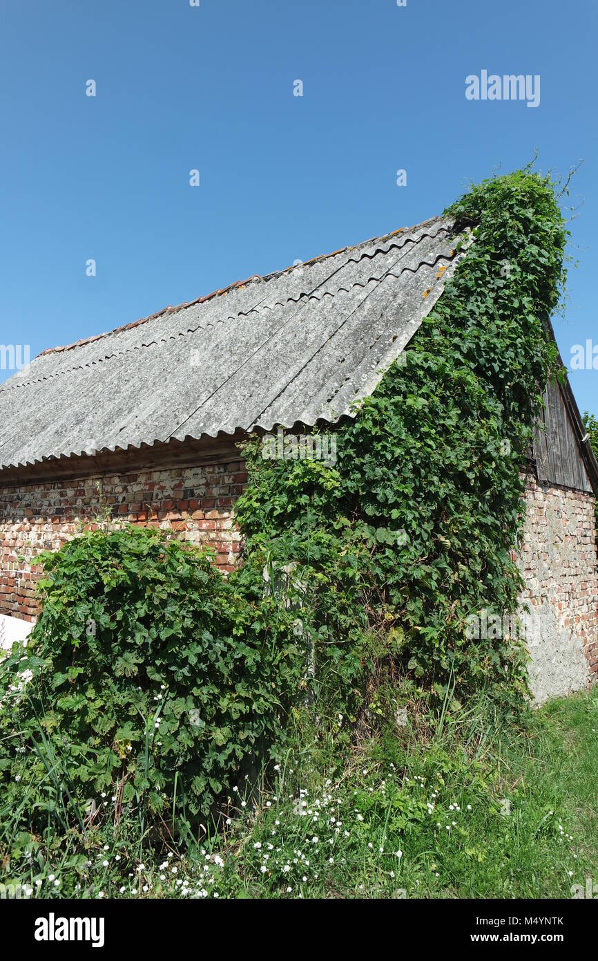 Ziegelscheune scheune -Fotos und -Bildmaterial in hoher Auflösung – Alamy