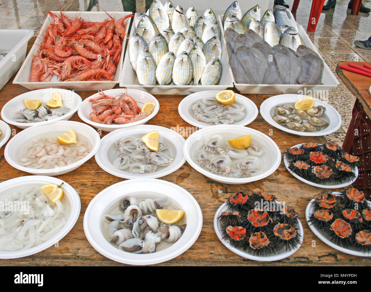 Seeigel garnele -Fotos und -Bildmaterial in hoher Auflösung – Alamy