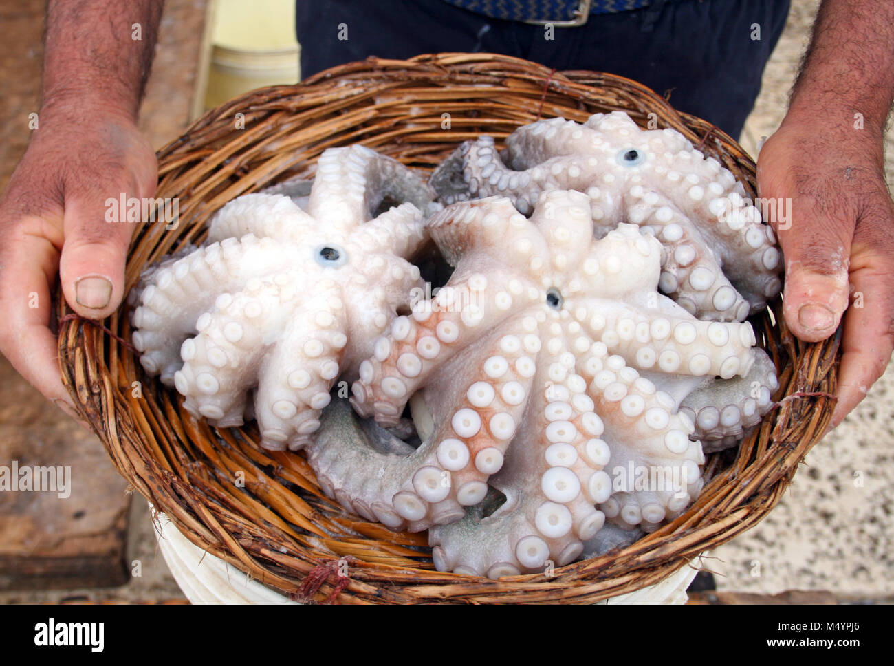 Typisches bari essen -Fotos und -Bildmaterial in hoher Auflösung – Alamy