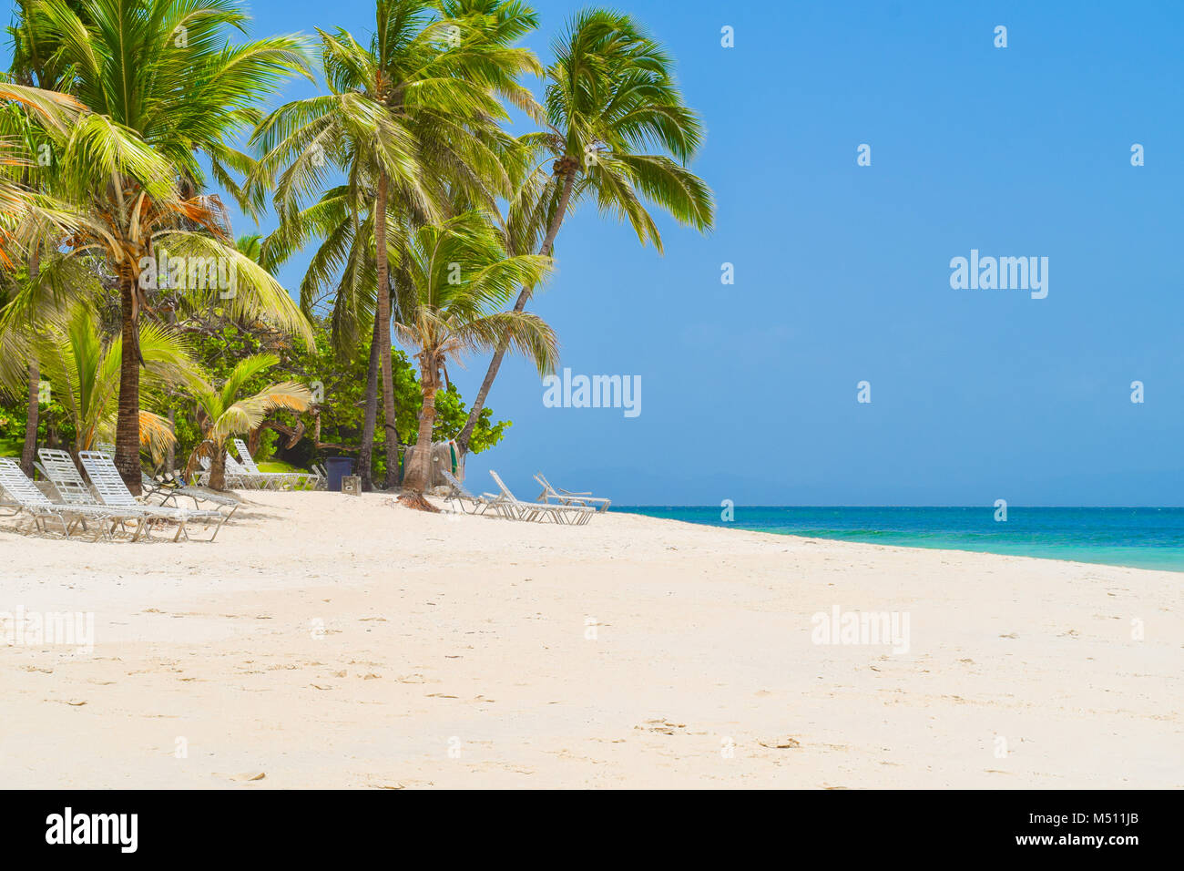 Kleiner palm island resort -Fotos und -Bildmaterial in hoher Auflösung ...