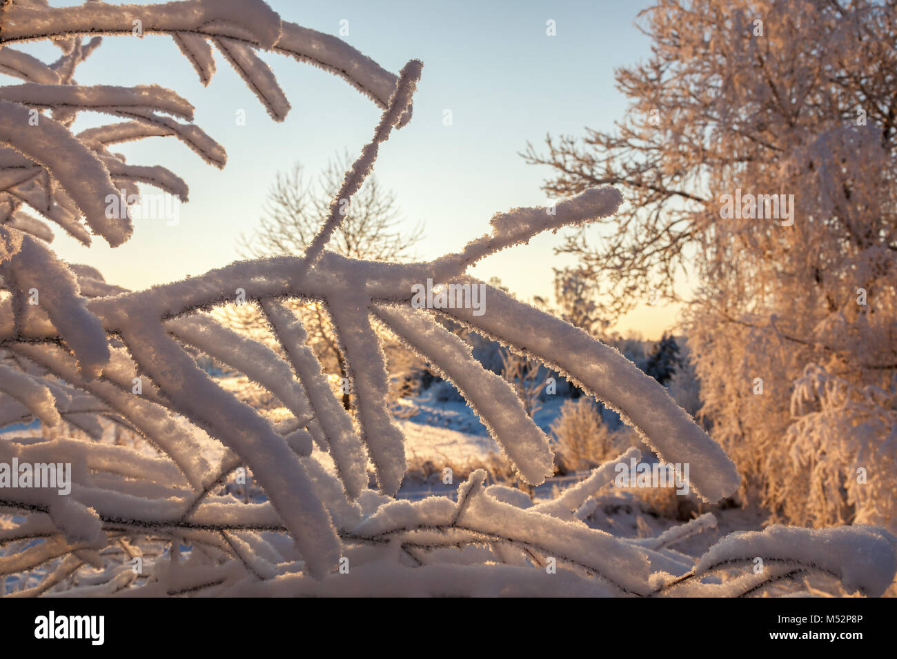 Stille und licht -Fotos und -Bildmaterial in hoher Auflösung – Alamy
